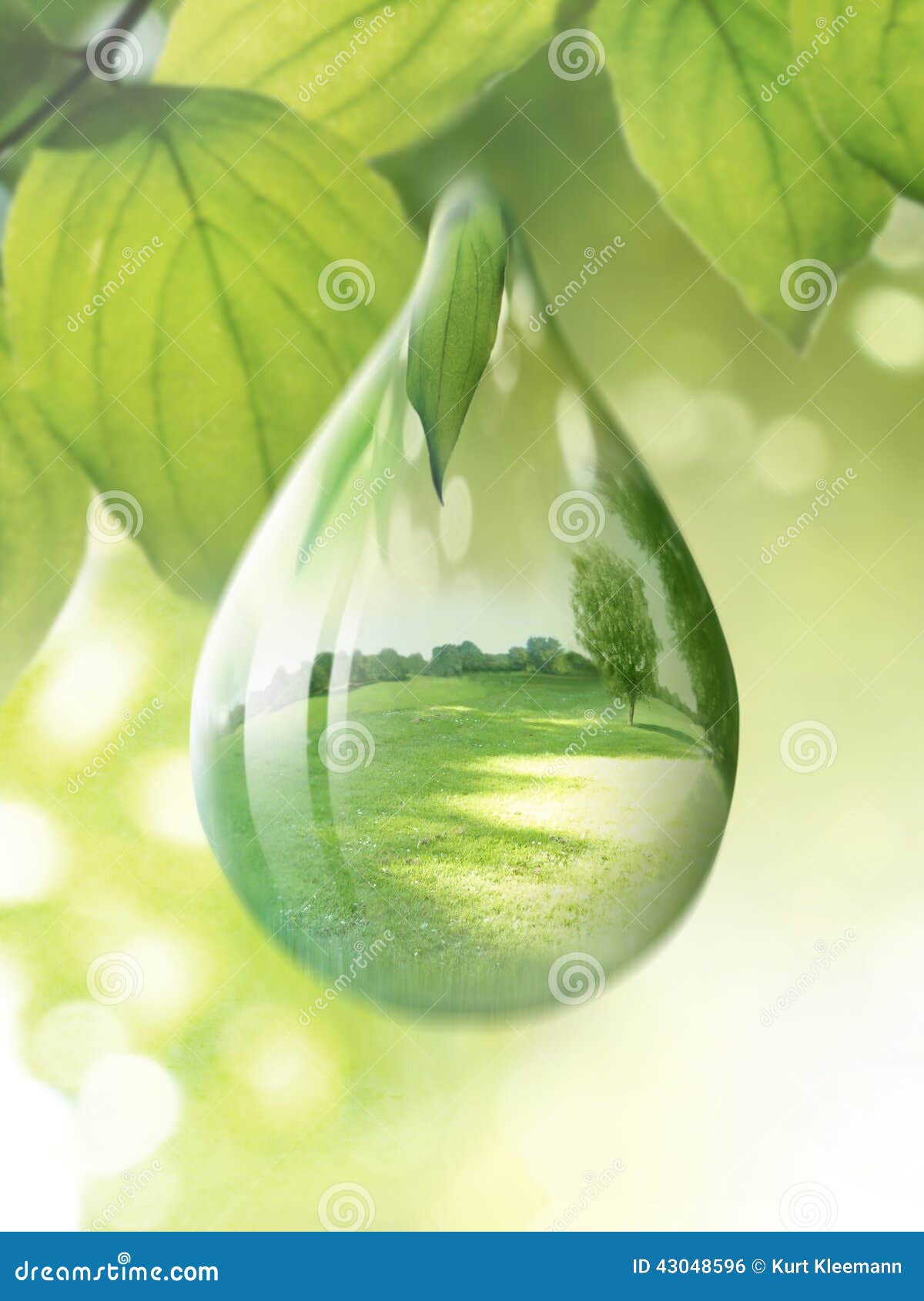 Drop of Water stock photo. Image of ecology, water, tree - 43048596