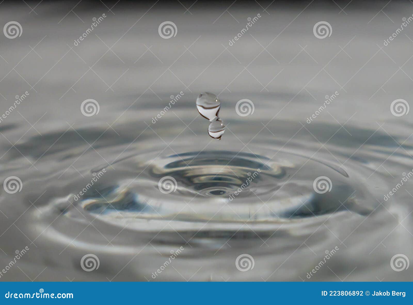 A Drop of Water Falls into the Water. Stock Photo - Image of nature ...