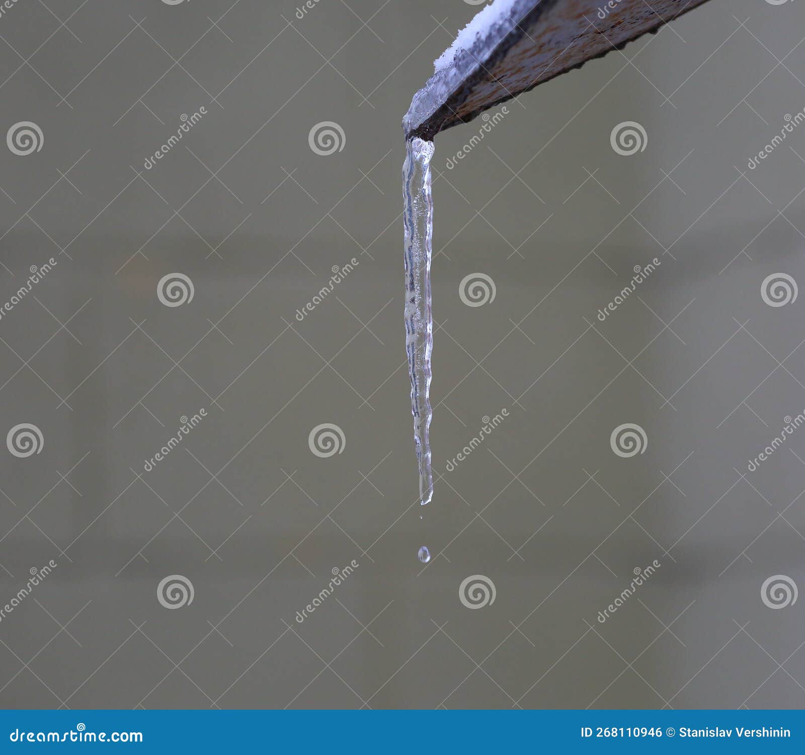 Drop of Water Falls from a Lonely Icicle on the Edge of the Roof Stock ...