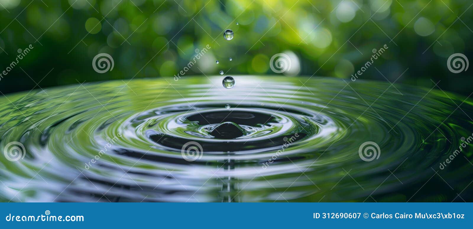 A Drop of Water Falls into a Pond Creating Waves Stock Illustration ...