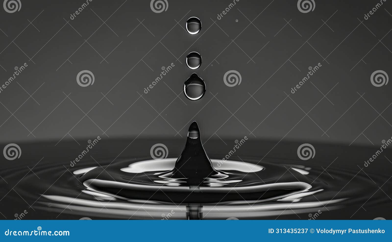 Drop of Water Falls into Puddle Creating Ripple Stock Image - Image of ...