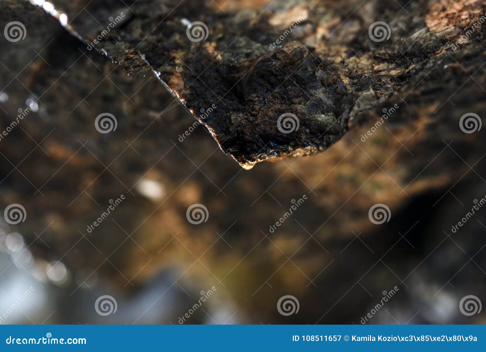 Cave Ceiling Royalty-Free Stock Photo | CartoonDealer.com #222337719