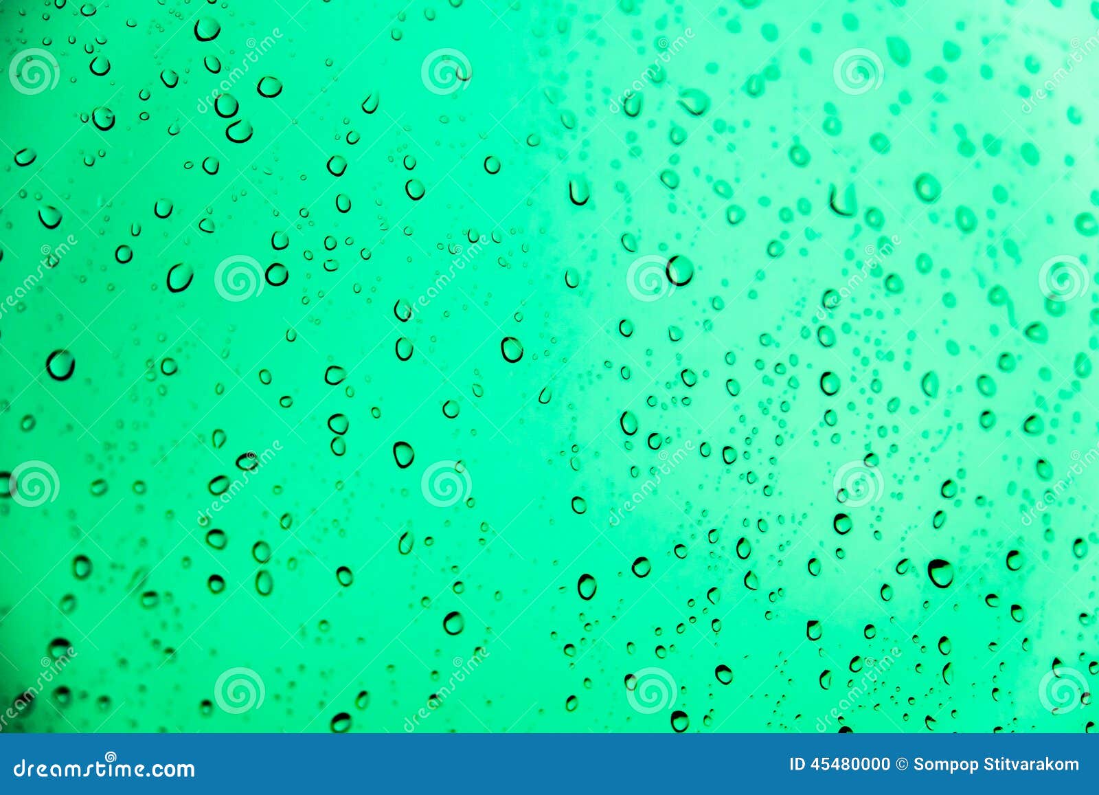 Aquarium Green Color Pictures And Images - RGB Color Hex Code [#00FFC0 ...