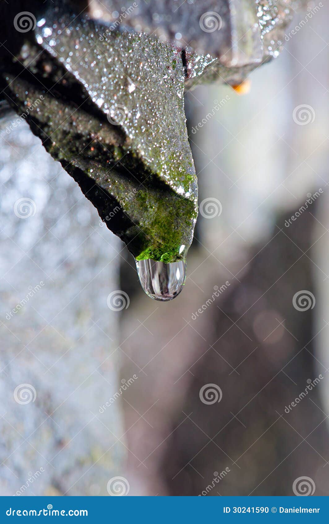 Drop of water stock photo. Image of green, freshness - 30241590