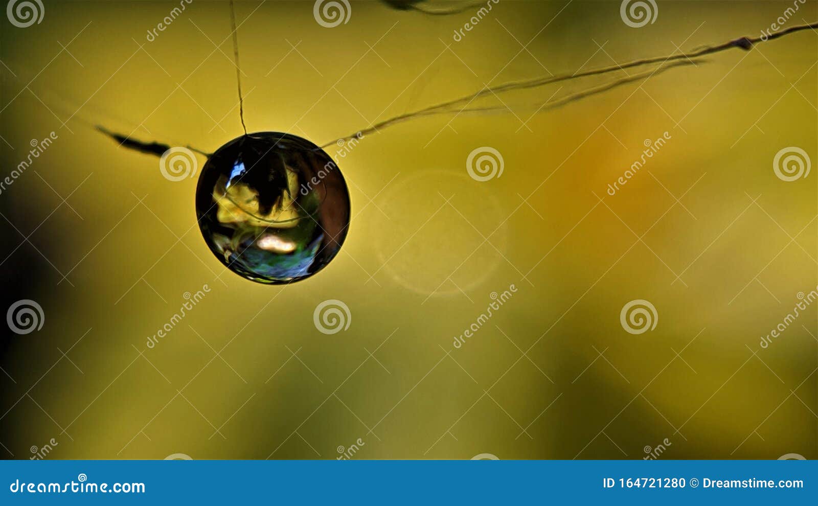 A Drop of Water Hanging from Strings Stock Photo - Image of background ...
