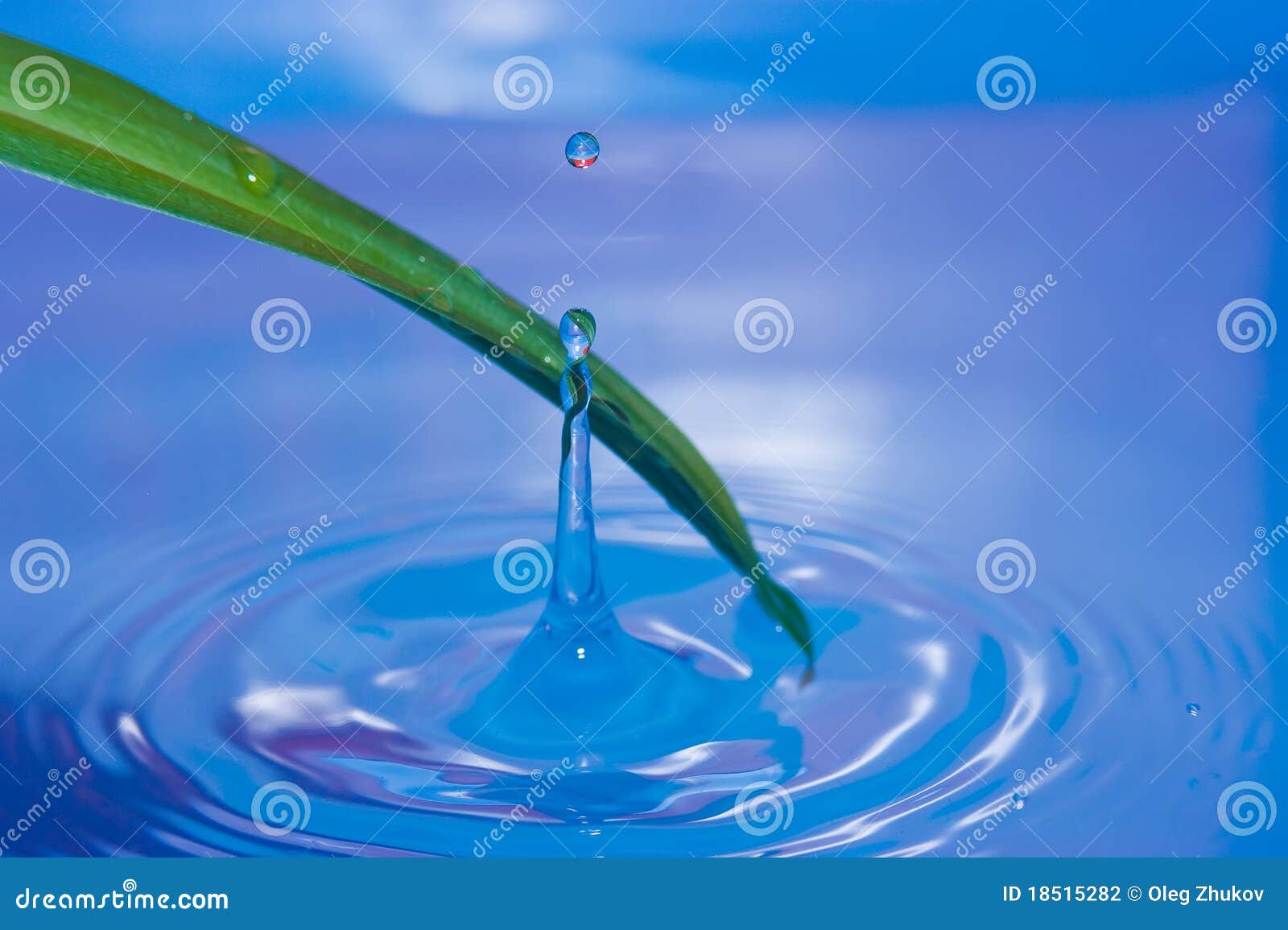 22,265 Water Drop Plants Stock Photos - Free & Royalty-Free Stock ...