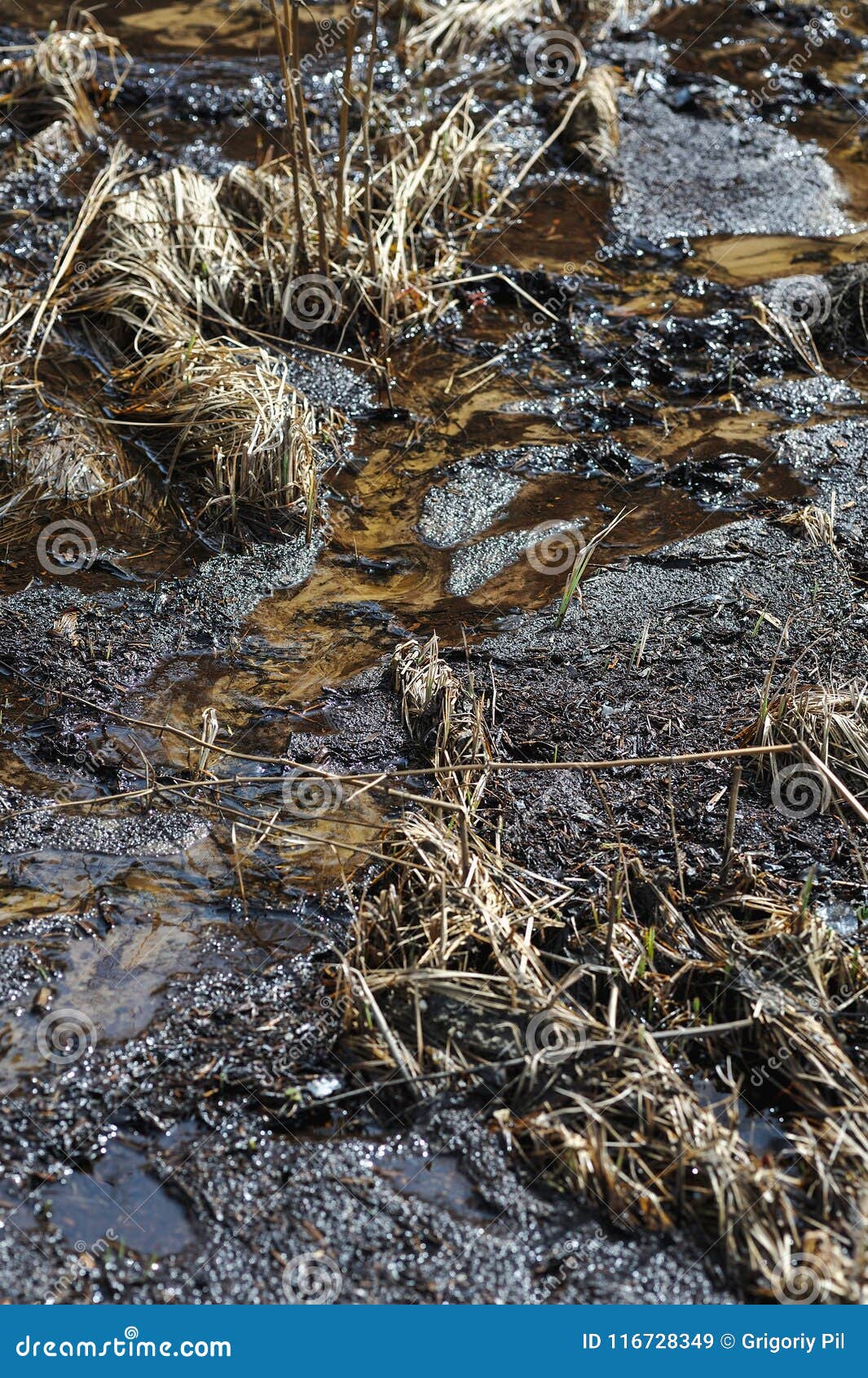 The Drying Up of the Water Flow. Stock Image - Image of mire, level ...