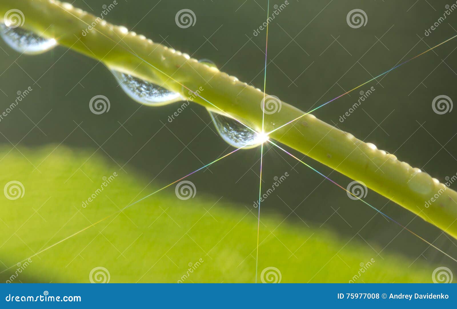 Drop of water and light stock photo. Image of change - 75977008