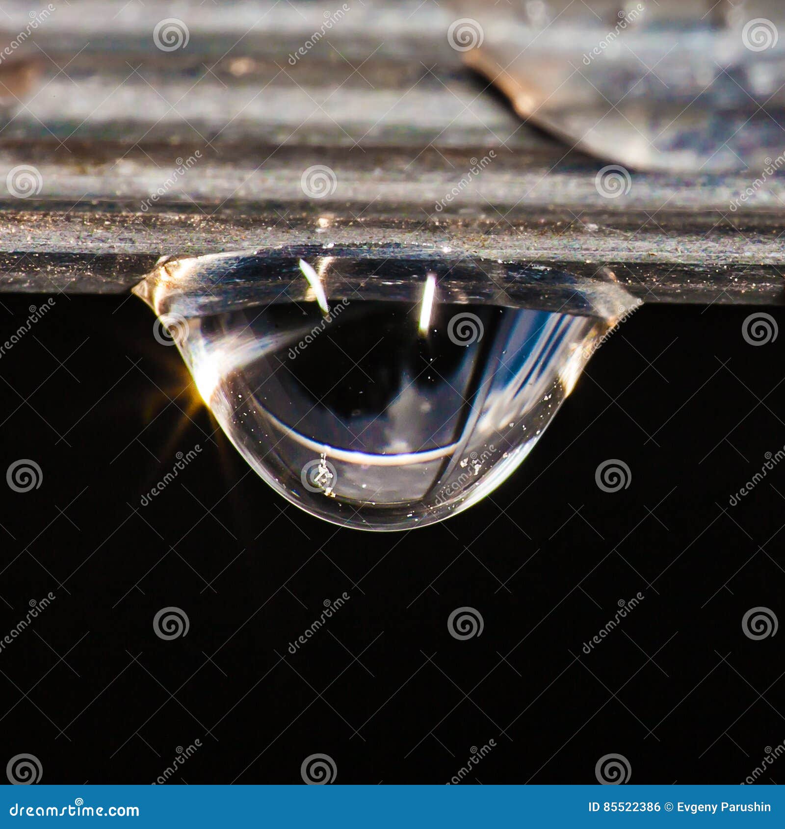 A drop of water after rain stock photo. Image of selective - 85522386