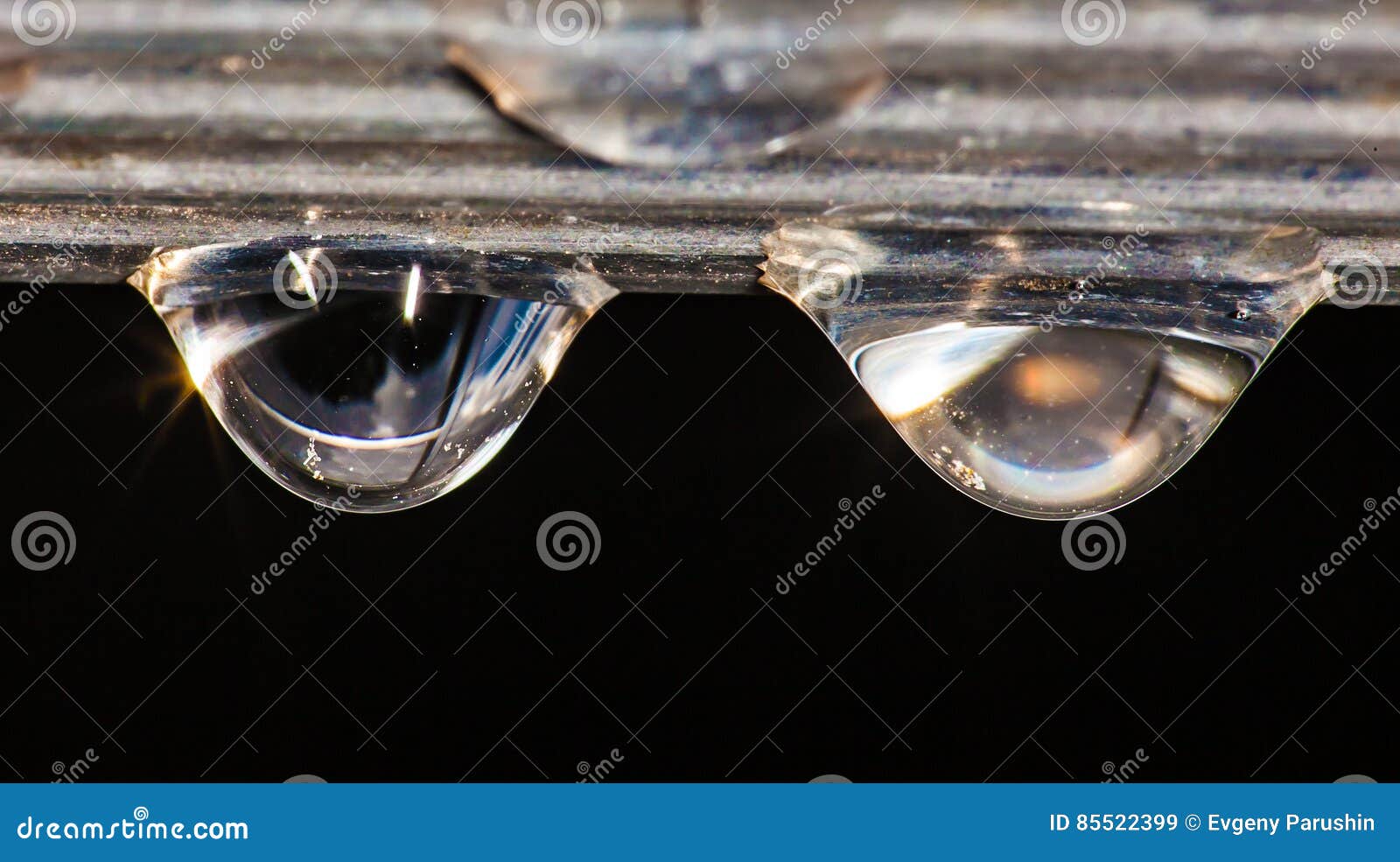 A drop of water after rain stock image. Image of focus - 85522399