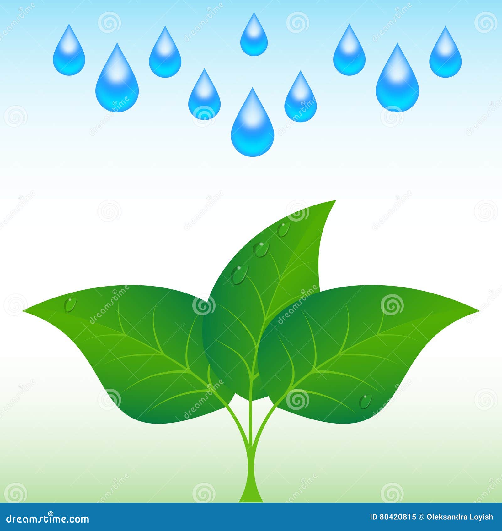 Drop of water with sprout. stock vector. Illustration of shiny - 80420815