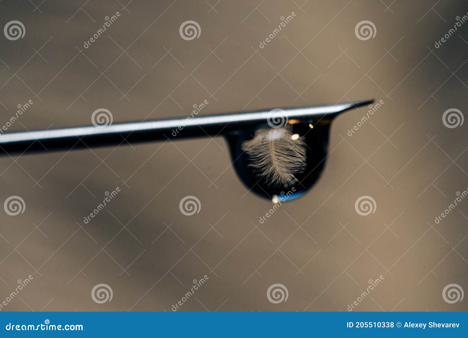A Drop of Water on the Tip of the Needle from the Syringe Stock Photo ...