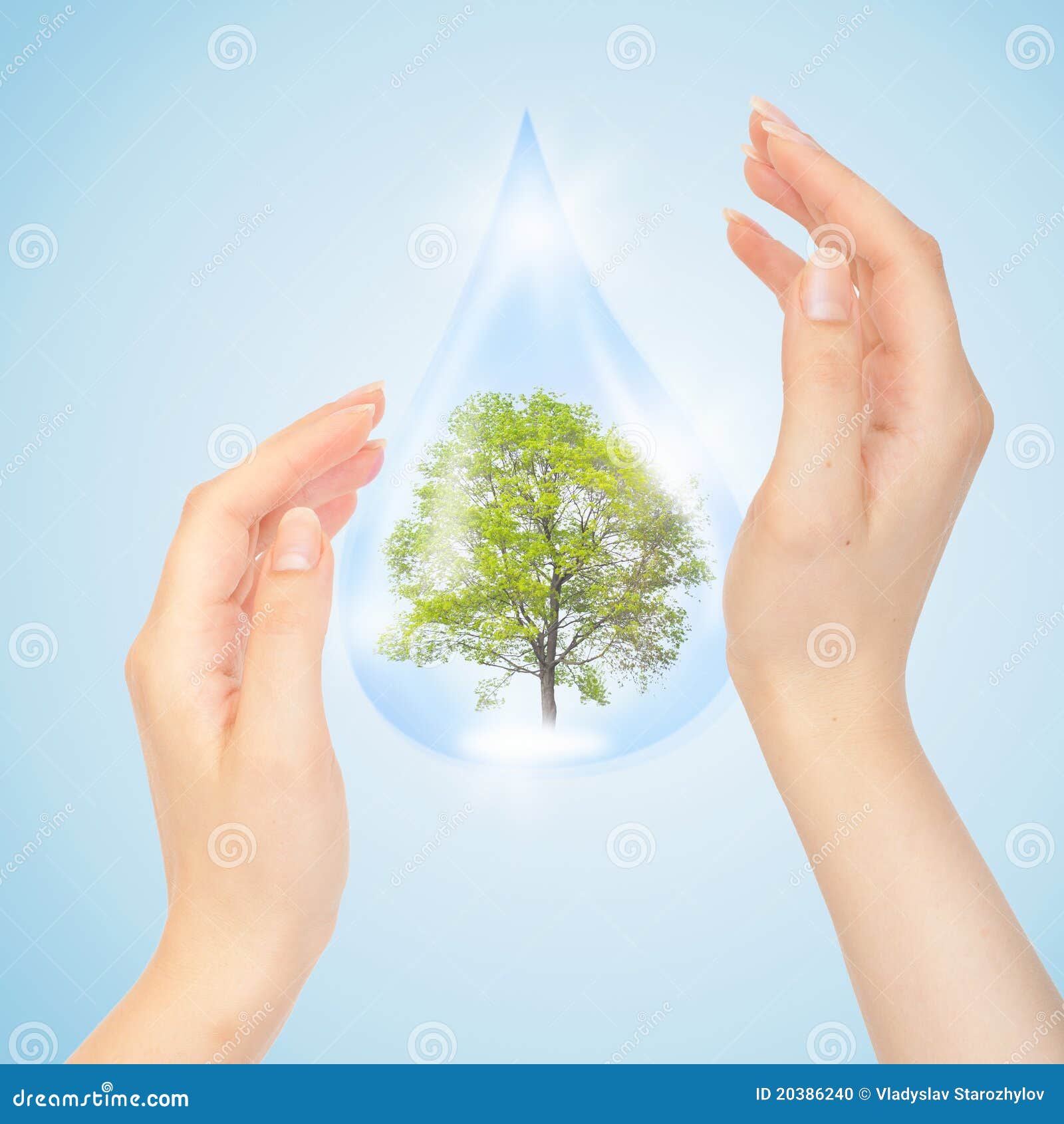 Water In Tree Royalty-Free Stock Photography | CartoonDealer.com #207283001