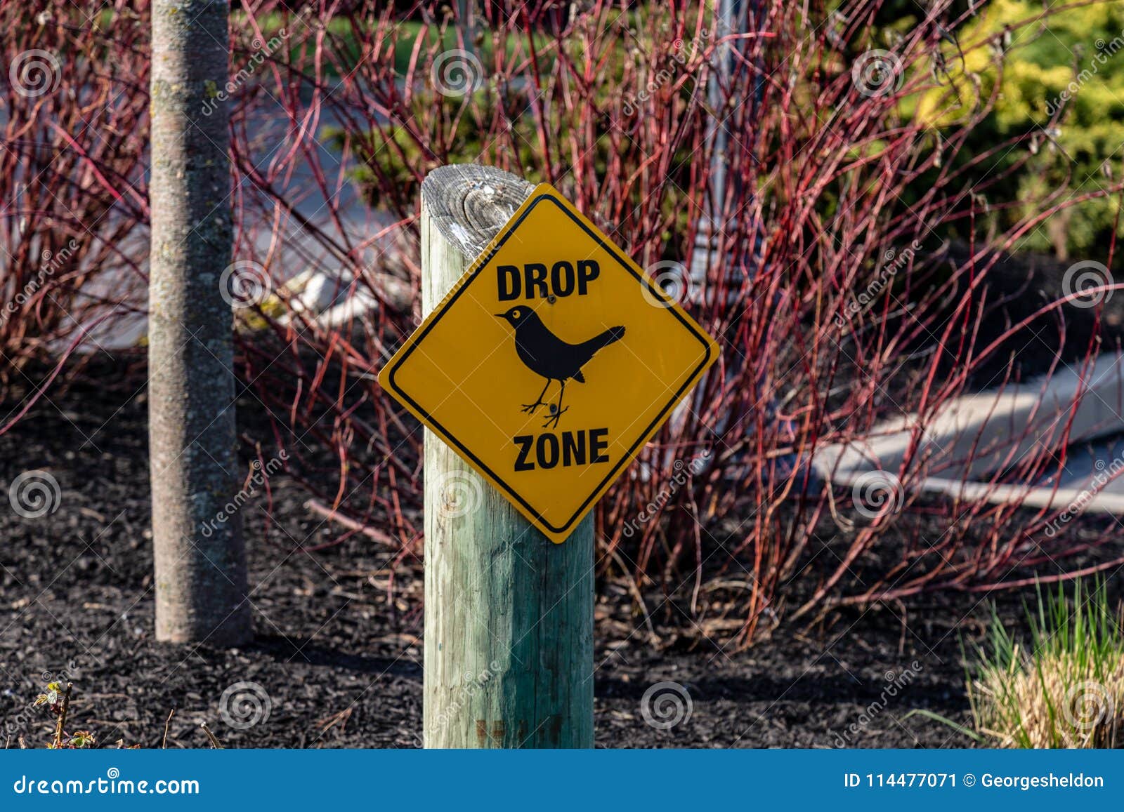 Drop Zone Sign stock image. Image of zone, post, warning - 114477071