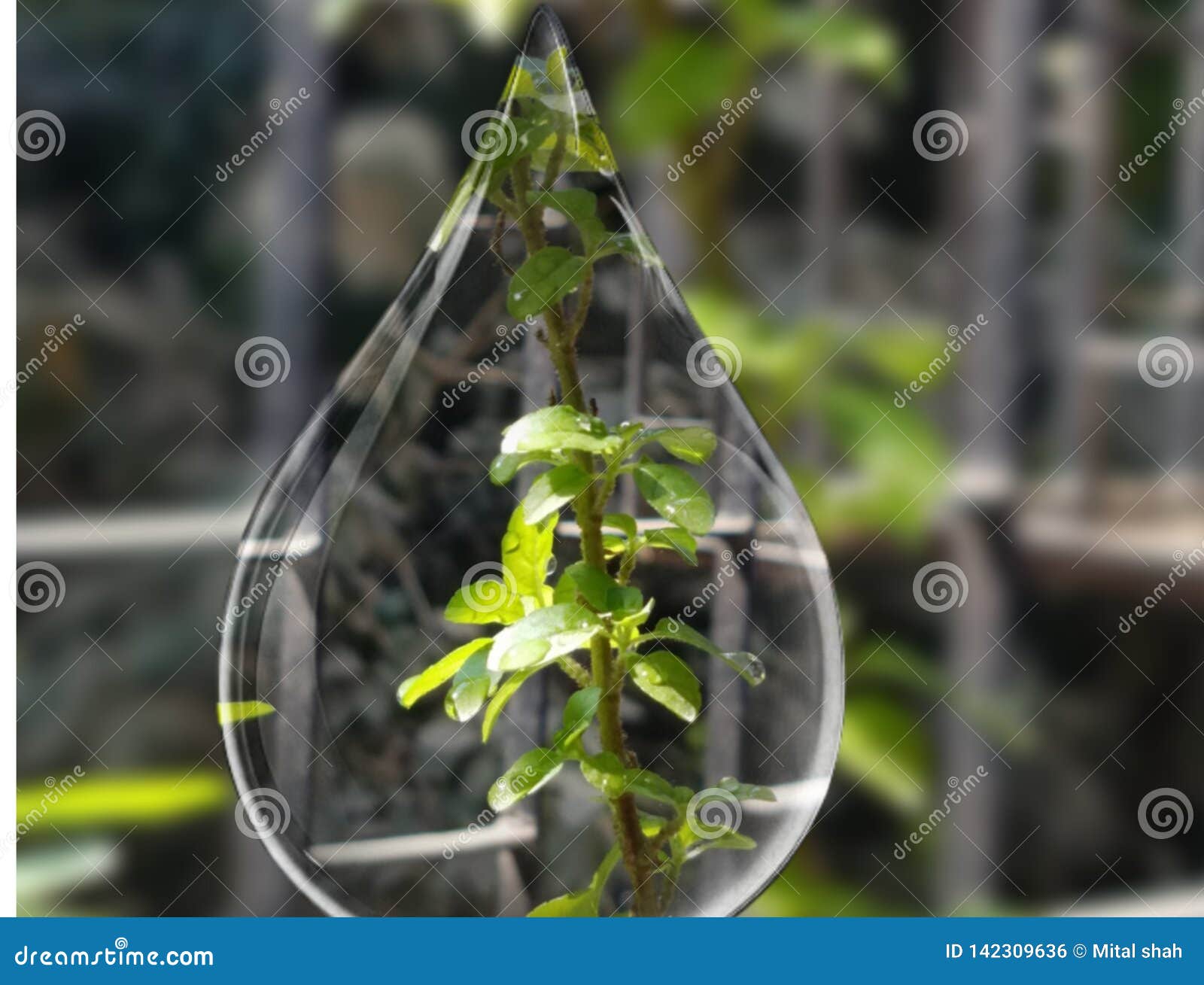 Droplet Captured in a Huge Drop Stock Photo - Image of drop, droplet ...