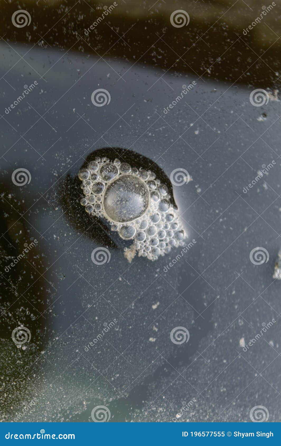 Droplet of Dirty Water on Pond Stock Image - Image of flow, cleanse ...