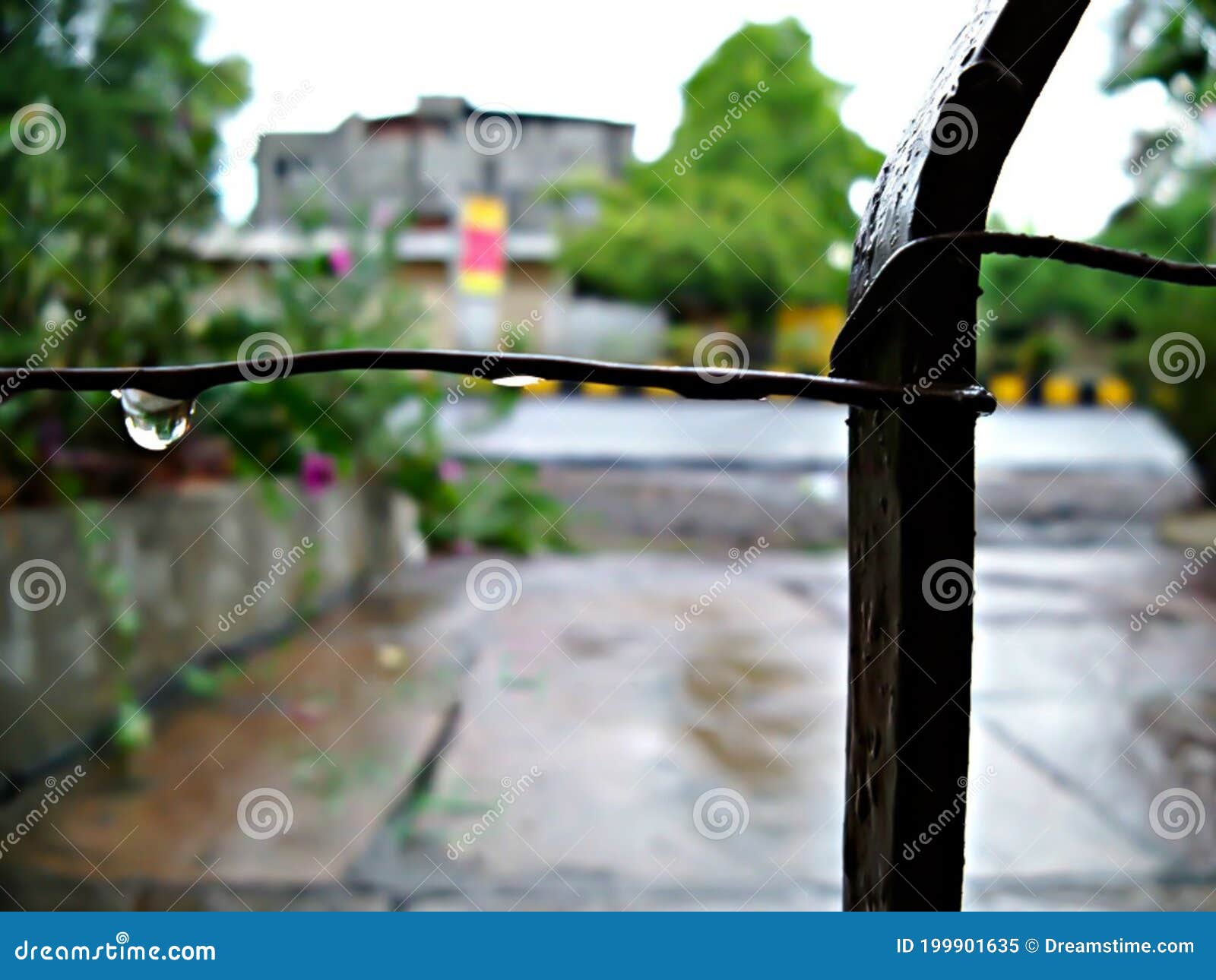 Droplet hanging on stock image. Image of hanging, brown - 199901635