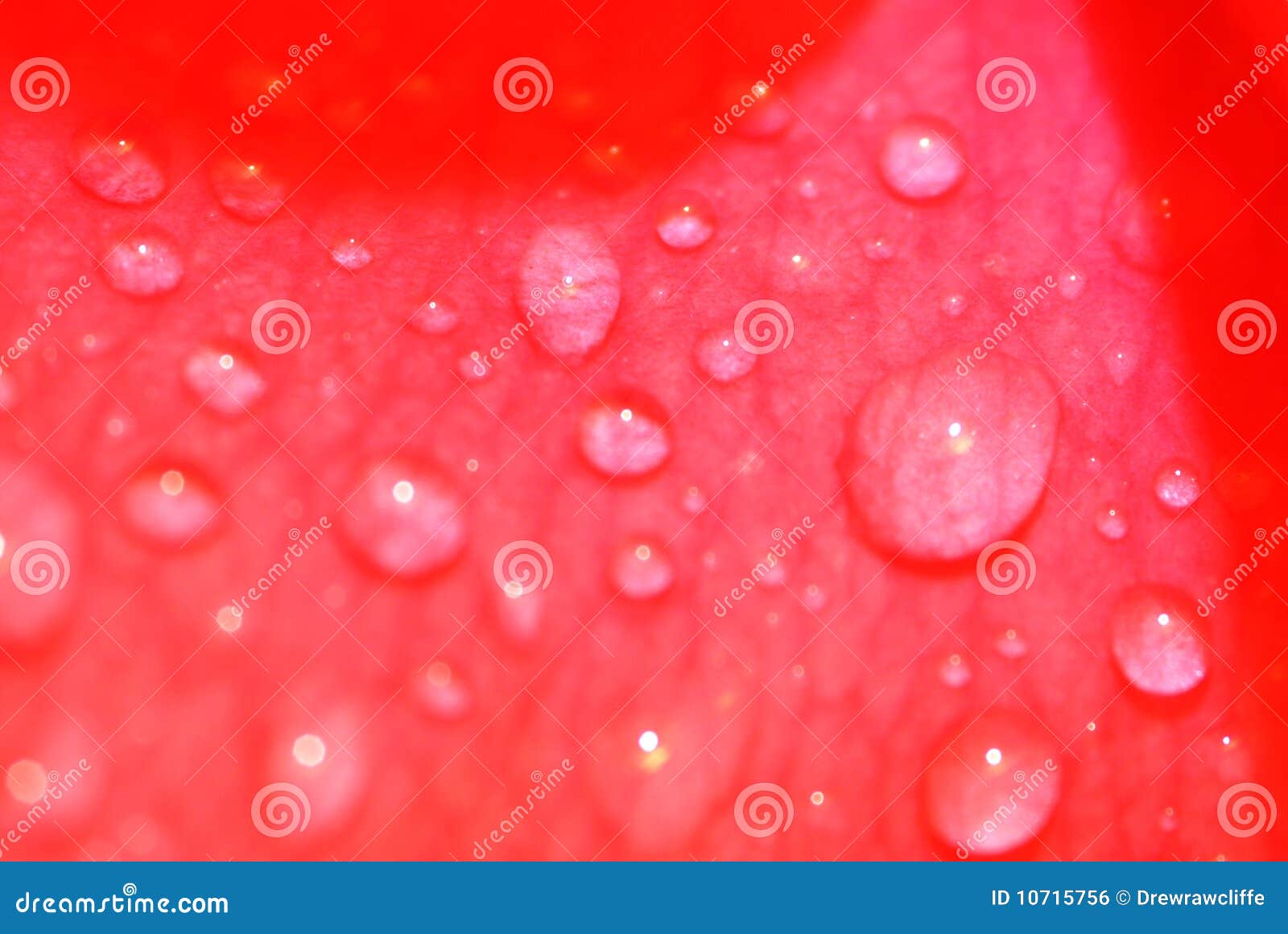 Droplet pattern stock photo. Image of water, drops, moisture - 10715756
