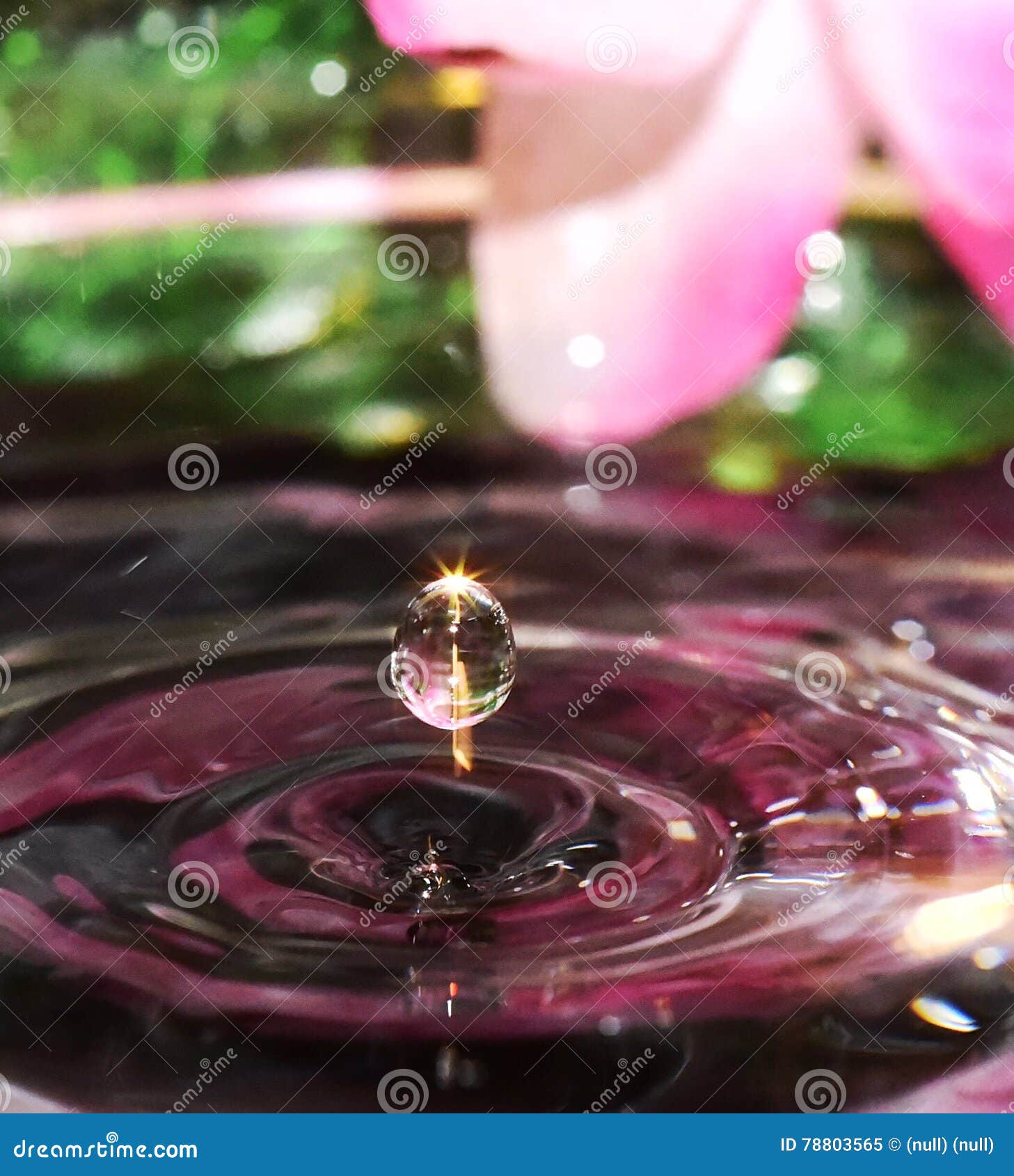 Droppe fotografering för bildbyråer. Bild av färger, nikon - 78803565