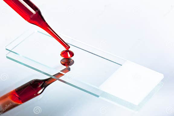 Dropped Blood Onto Microscope Slide 1 Stock Photo - Image of drop ...