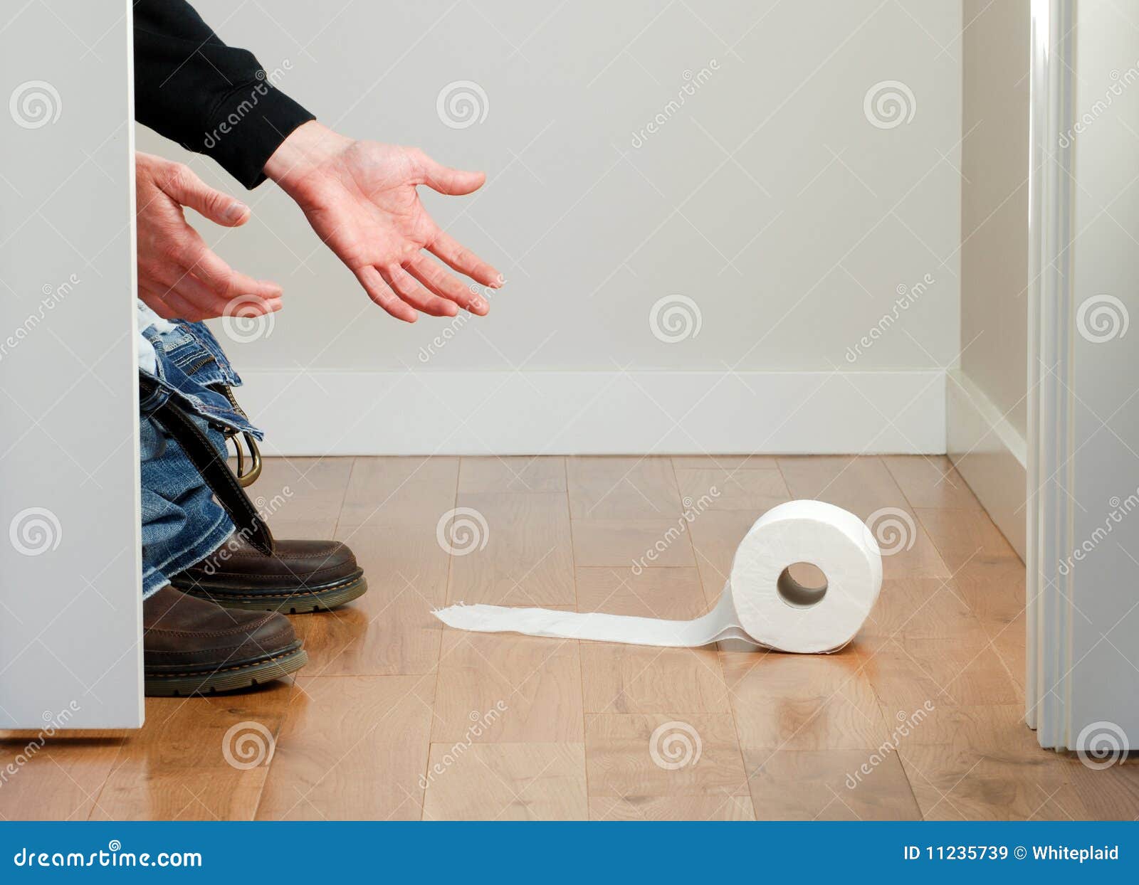 Dropped Toilet Paper Roll stock image. Image of sitting - 11235739