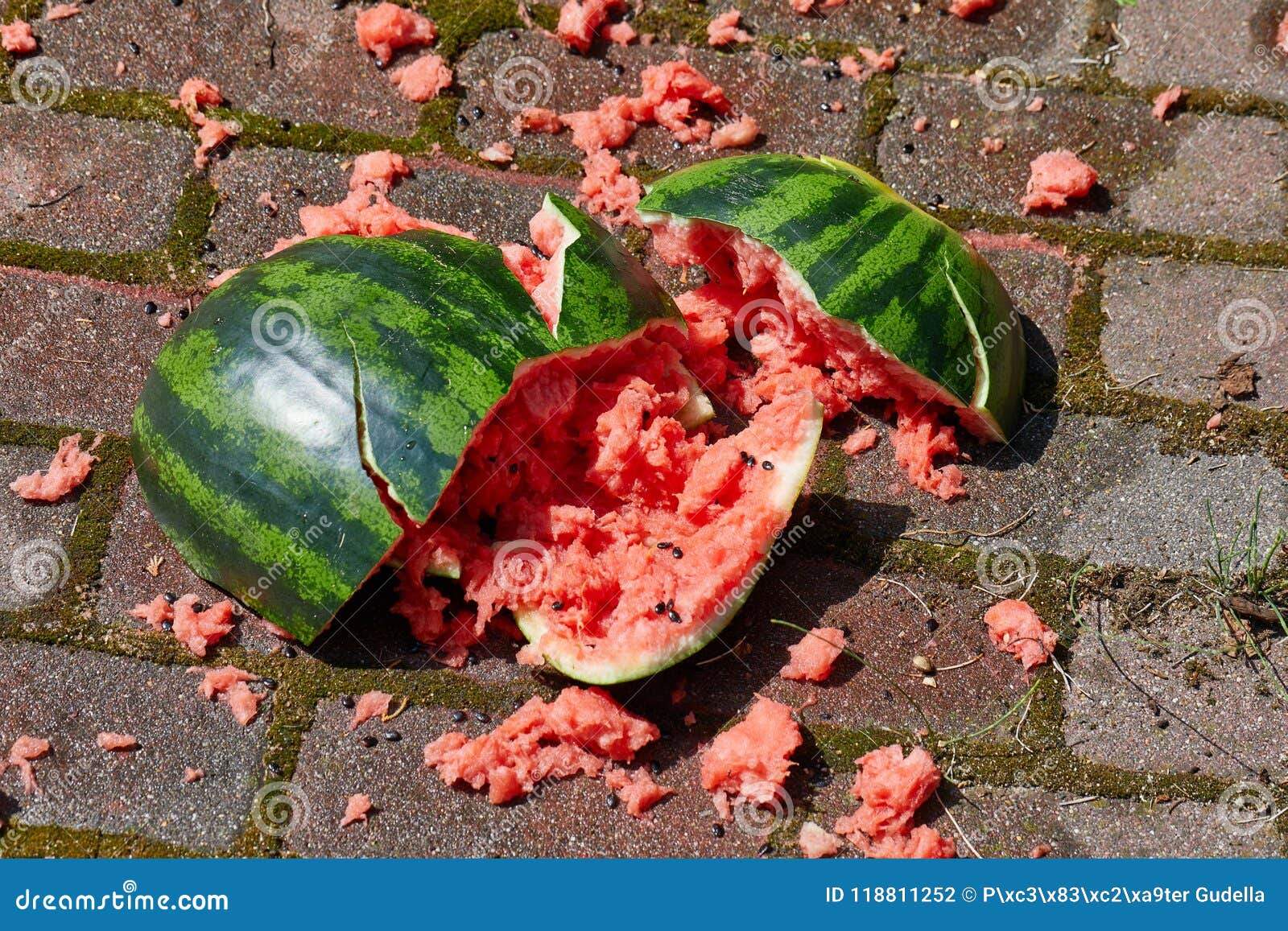Dropped Watermelon on the Ground Stock Photo - Image of explode, fruit ...