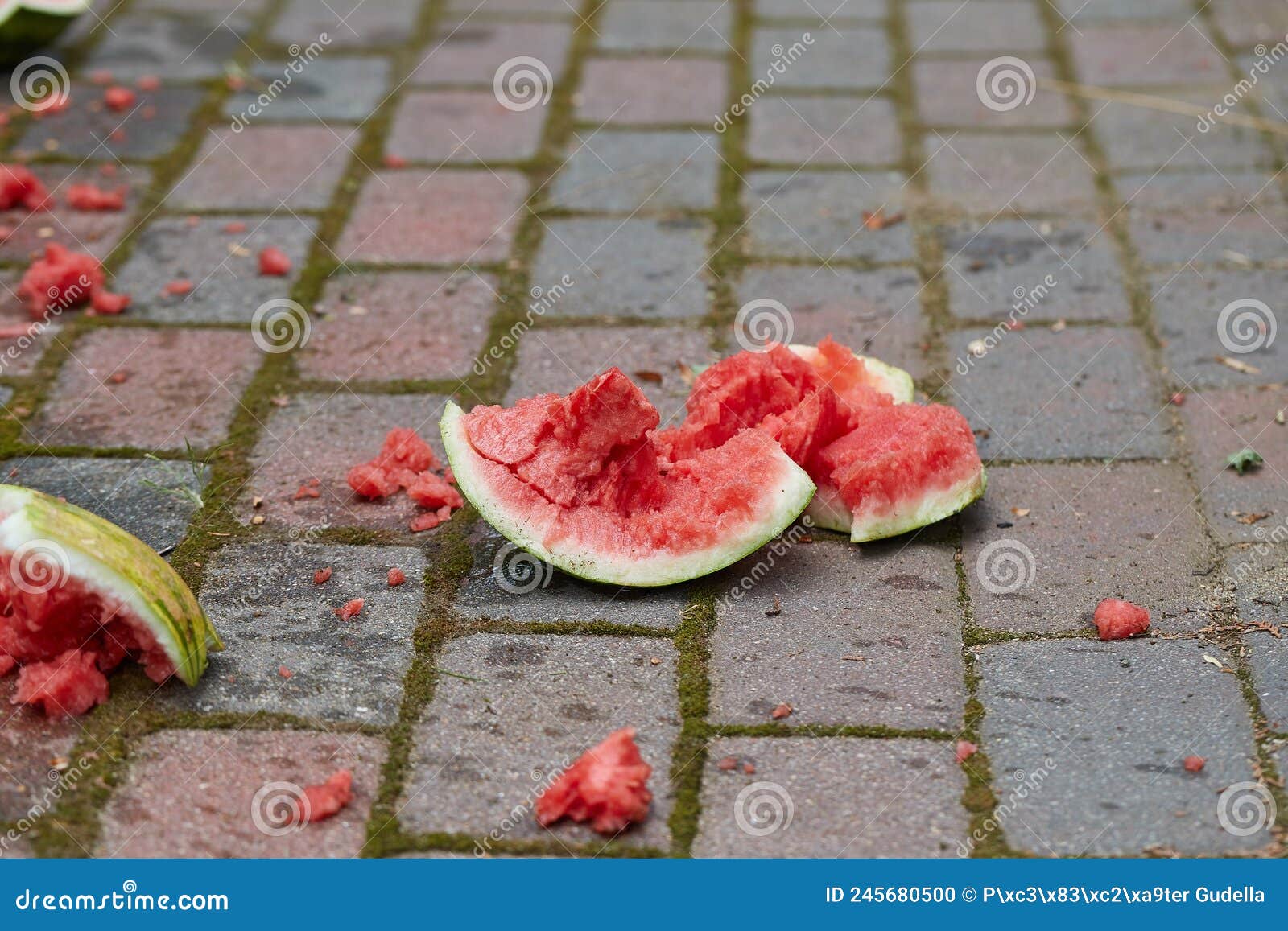 Dropped Watermelon on the Ground Stock Photo - Image of destroy, impact ...