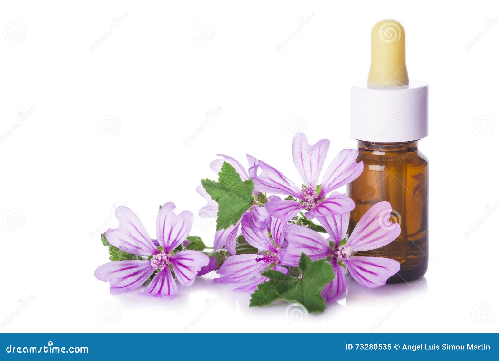 Dropper Bottle with Mallow Malva Extract Stock Image - Image of essence ...