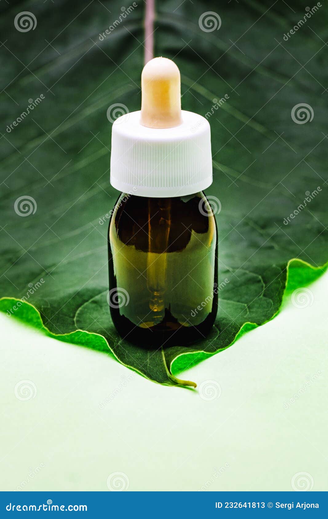 Dropper Bottle with a Tree Leaf in the Background Stock Image - Image ...