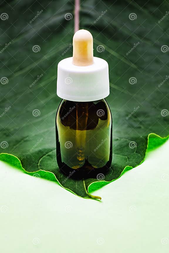 Dropper Bottle with a Tree Leaf in the Background Stock Image - Image ...