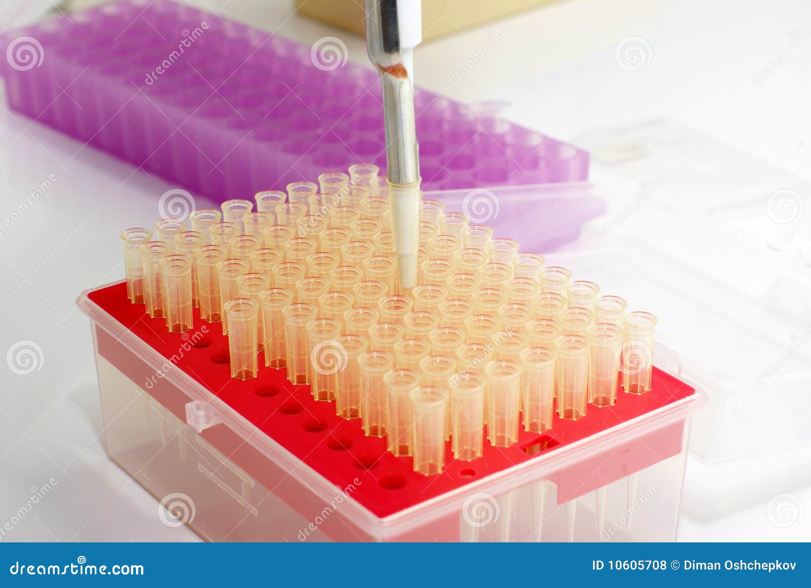Dropper with pipette stock photo. Image of rack, dropper - 10605708