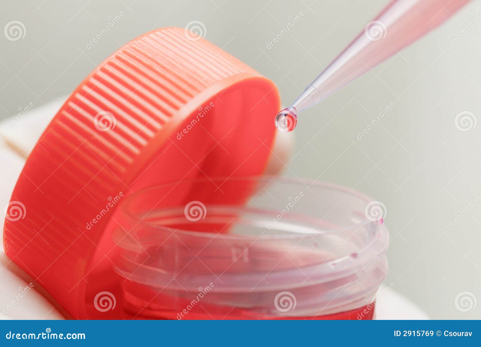 Dropping a chemical fluid stock image. Image of examination - 2915769