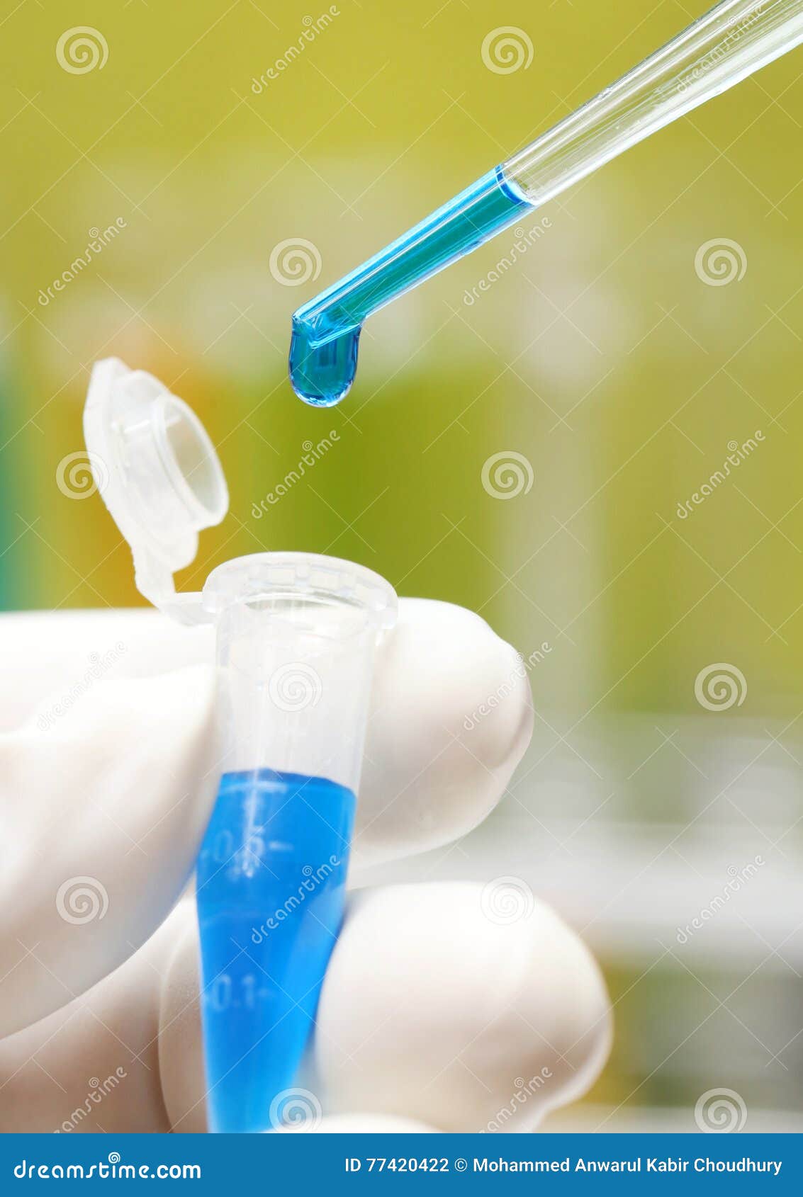 Dropping Chemical in a Sample Tube Stock Photo - Image of glove ...