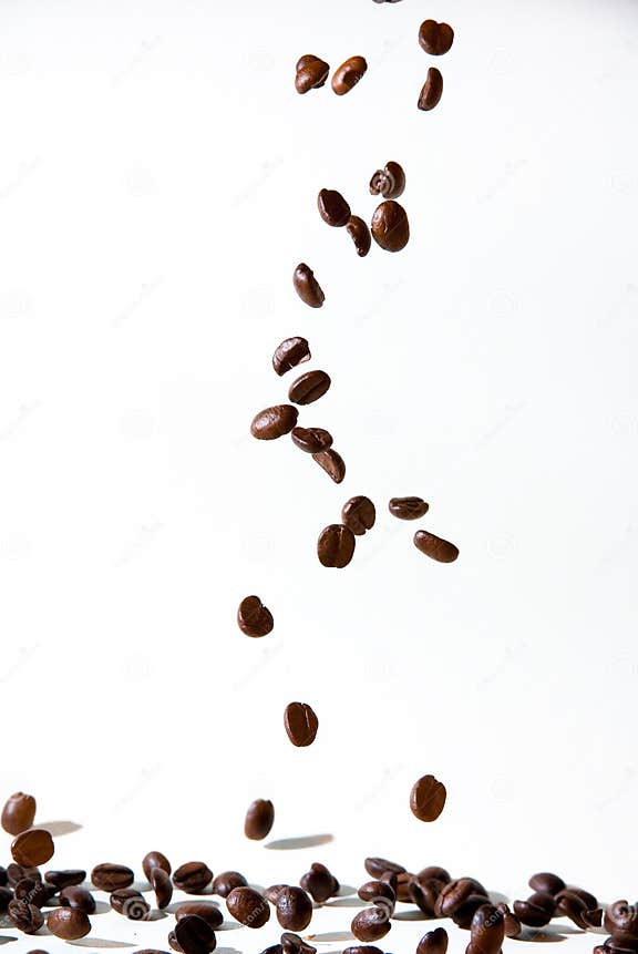 Dropping coffee beans stock photo. Image of caffeine - 16415450