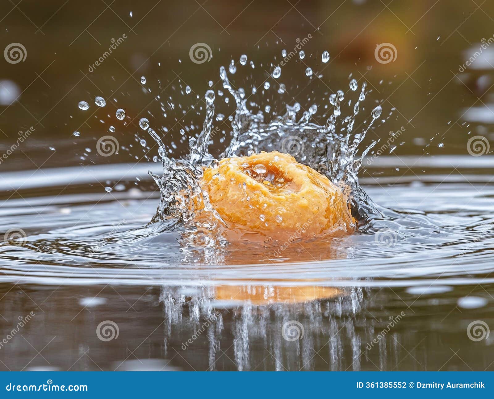 Dropping a Stone into Water Generates Ripples that Form Concentric ...