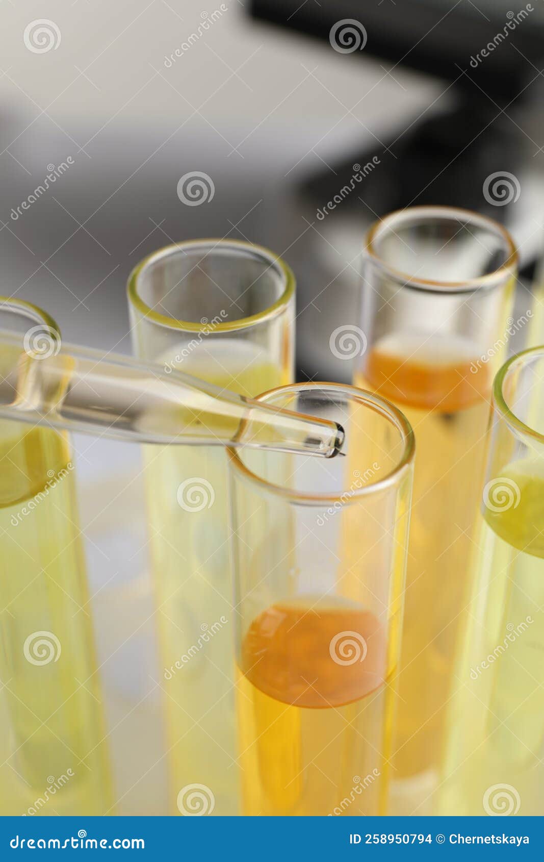 Dropping Urine Sample for Analysis into Tube, Closeup Stock Photo ...