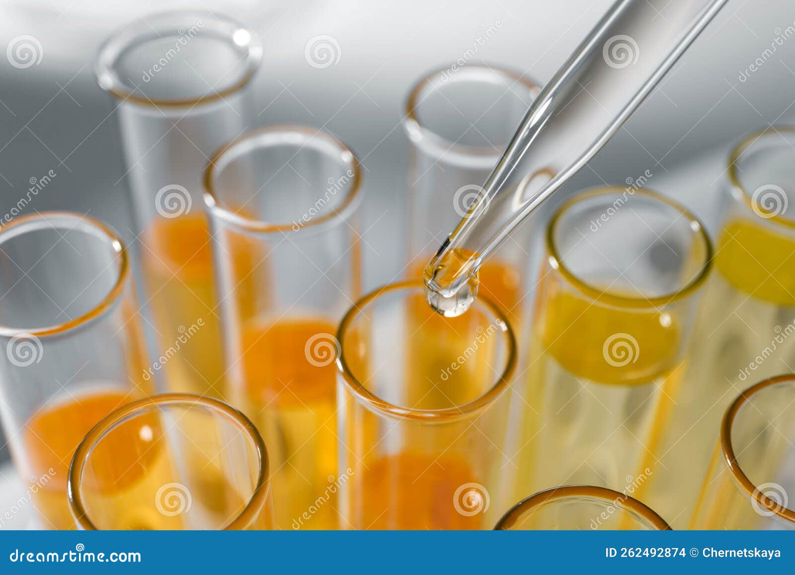 Dropping Urine Sample for Analysis into Tube, Closeup Stock Photo ...