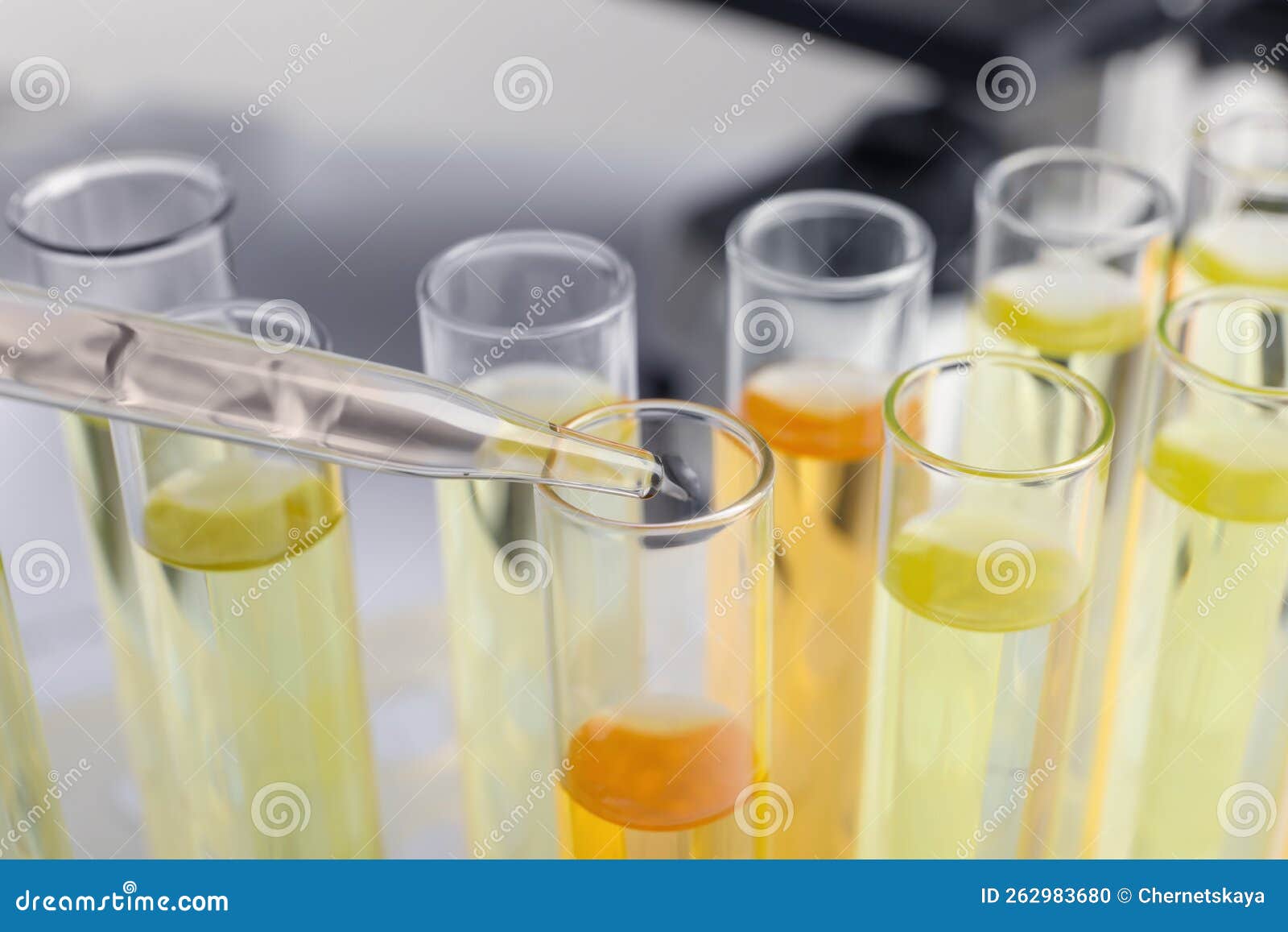 Dropping Urine Sample for Analysis into Tube, Closeup Stock Photo ...