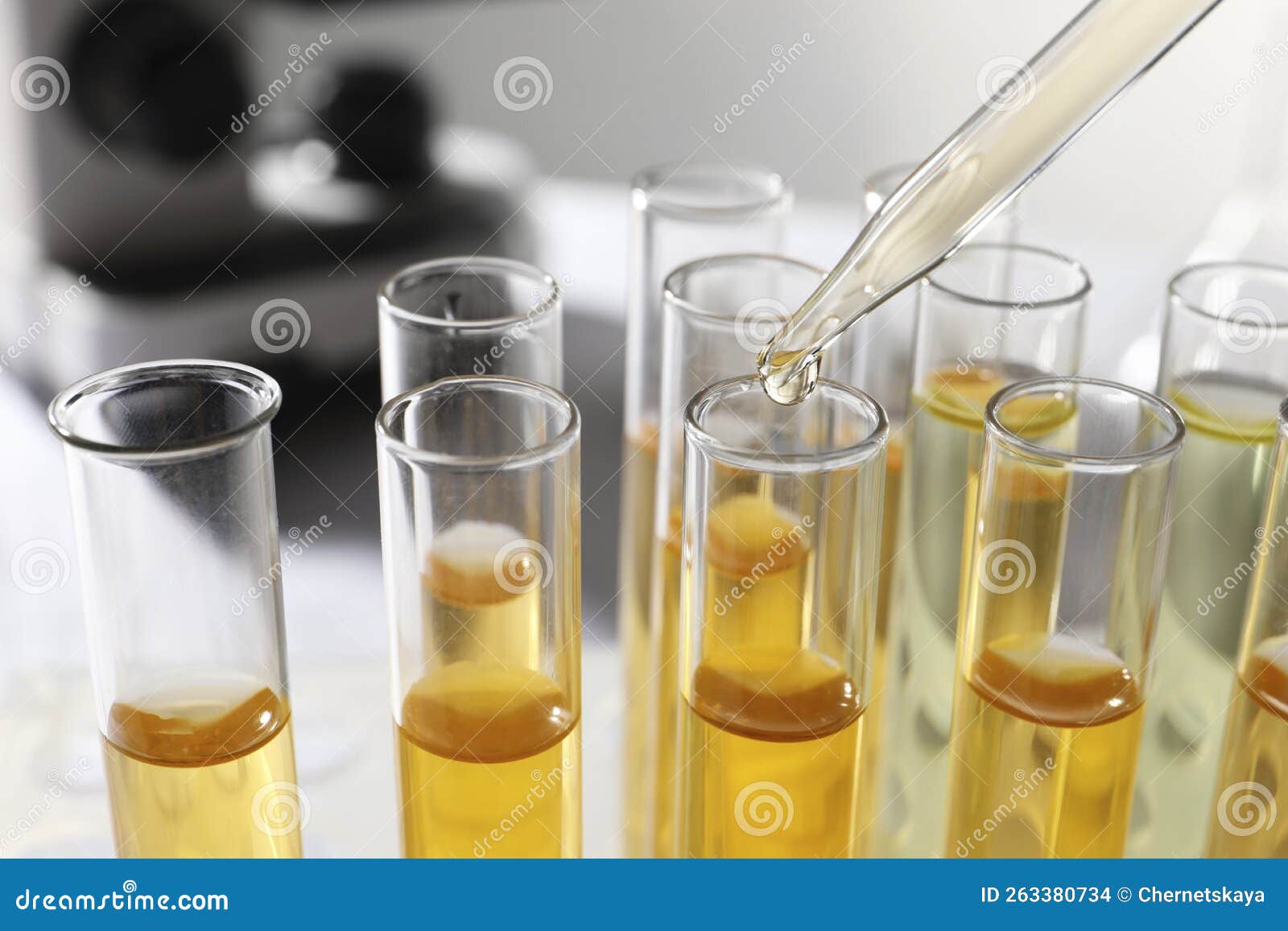 Dropping Urine Sample for Analysis into Tube in Laboratory, Closeup ...