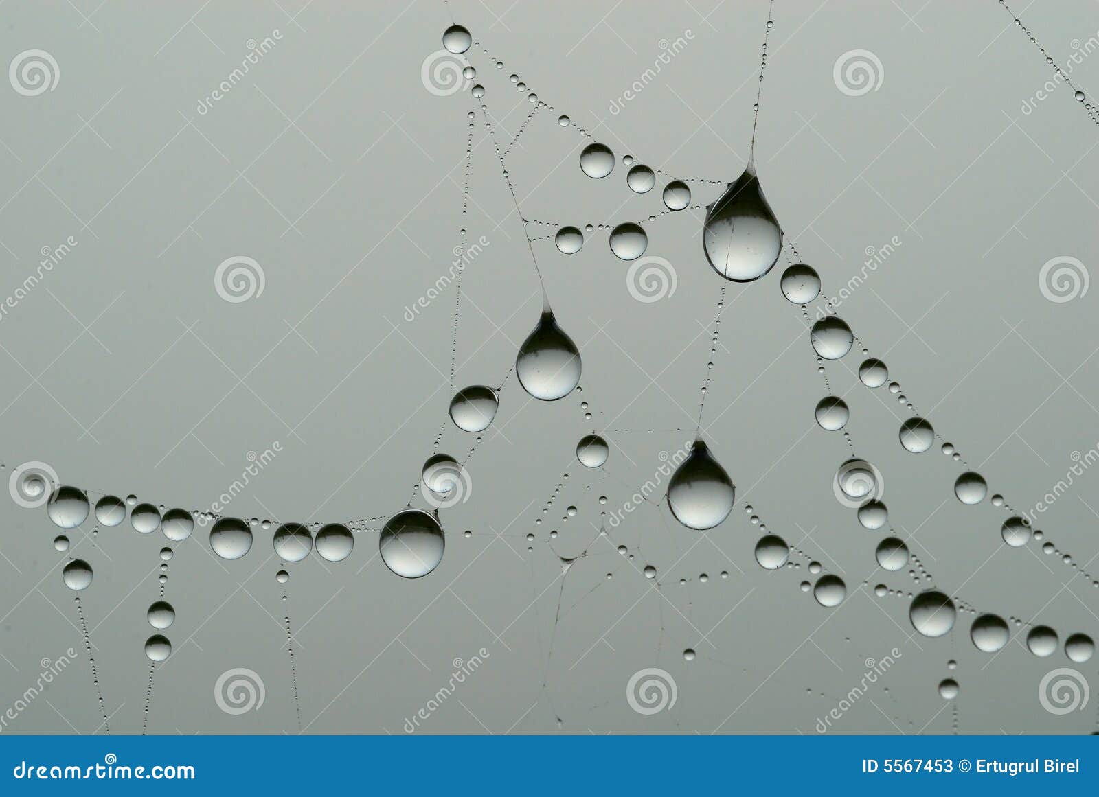 Drops stock image. Image of luxury, bronze, copper, material - 5567453