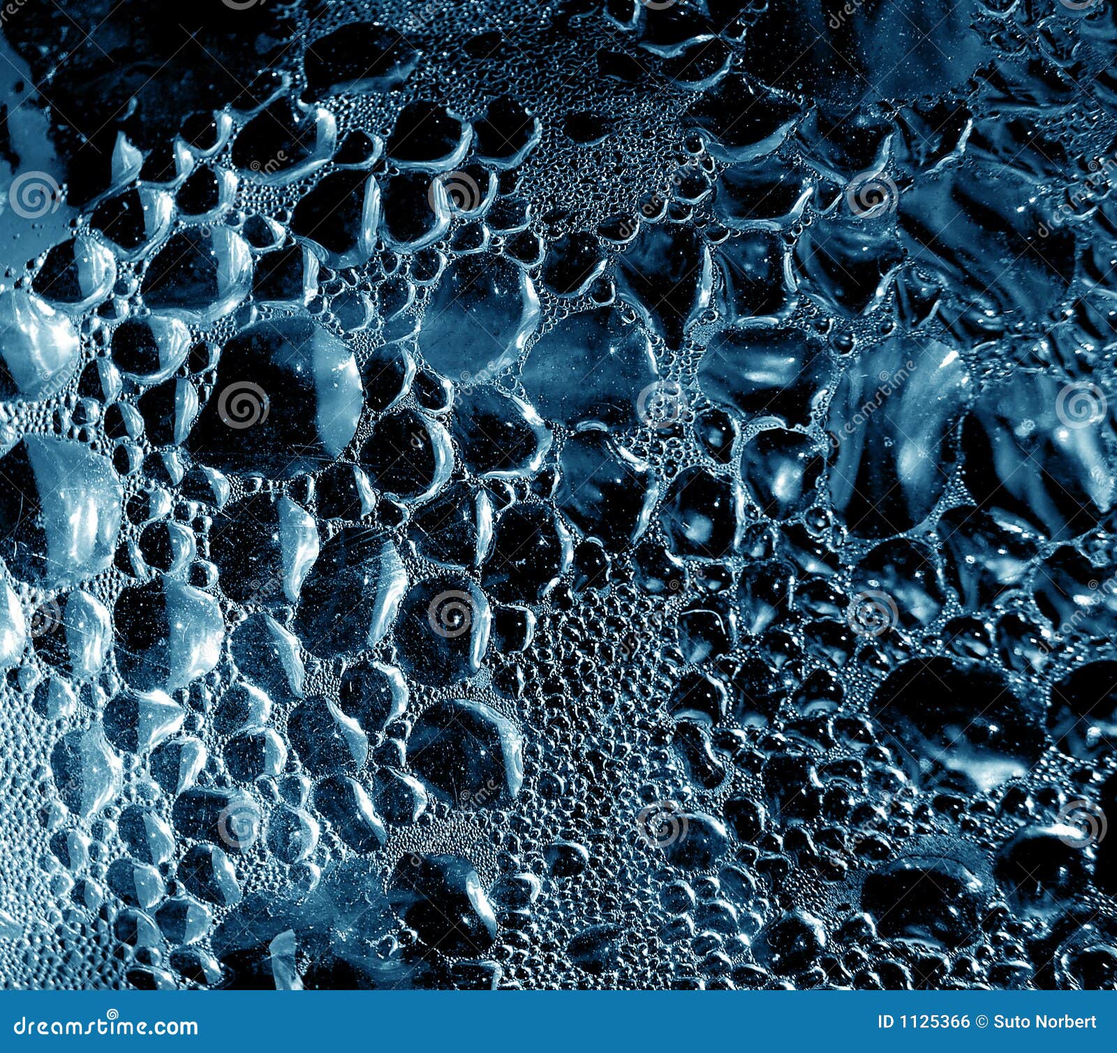 Drops and bubbles stock photo. Image of drops, bubbles - 1125366