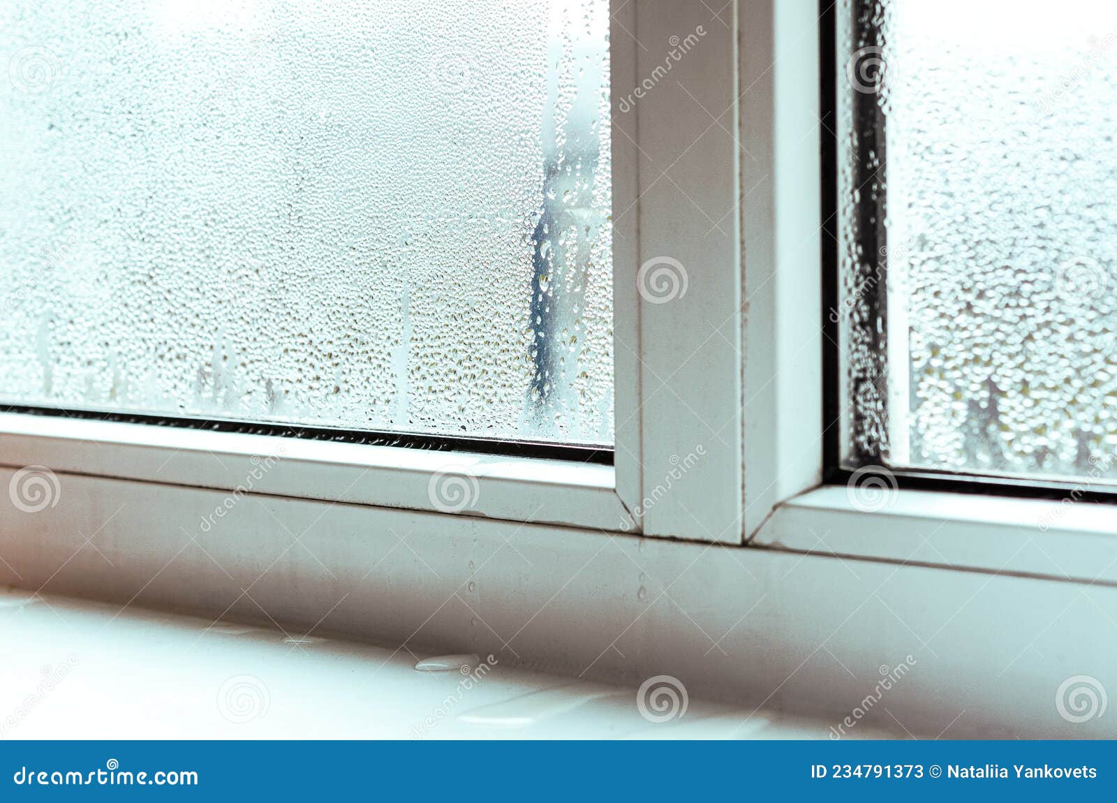 Black Mold Window Condensation
