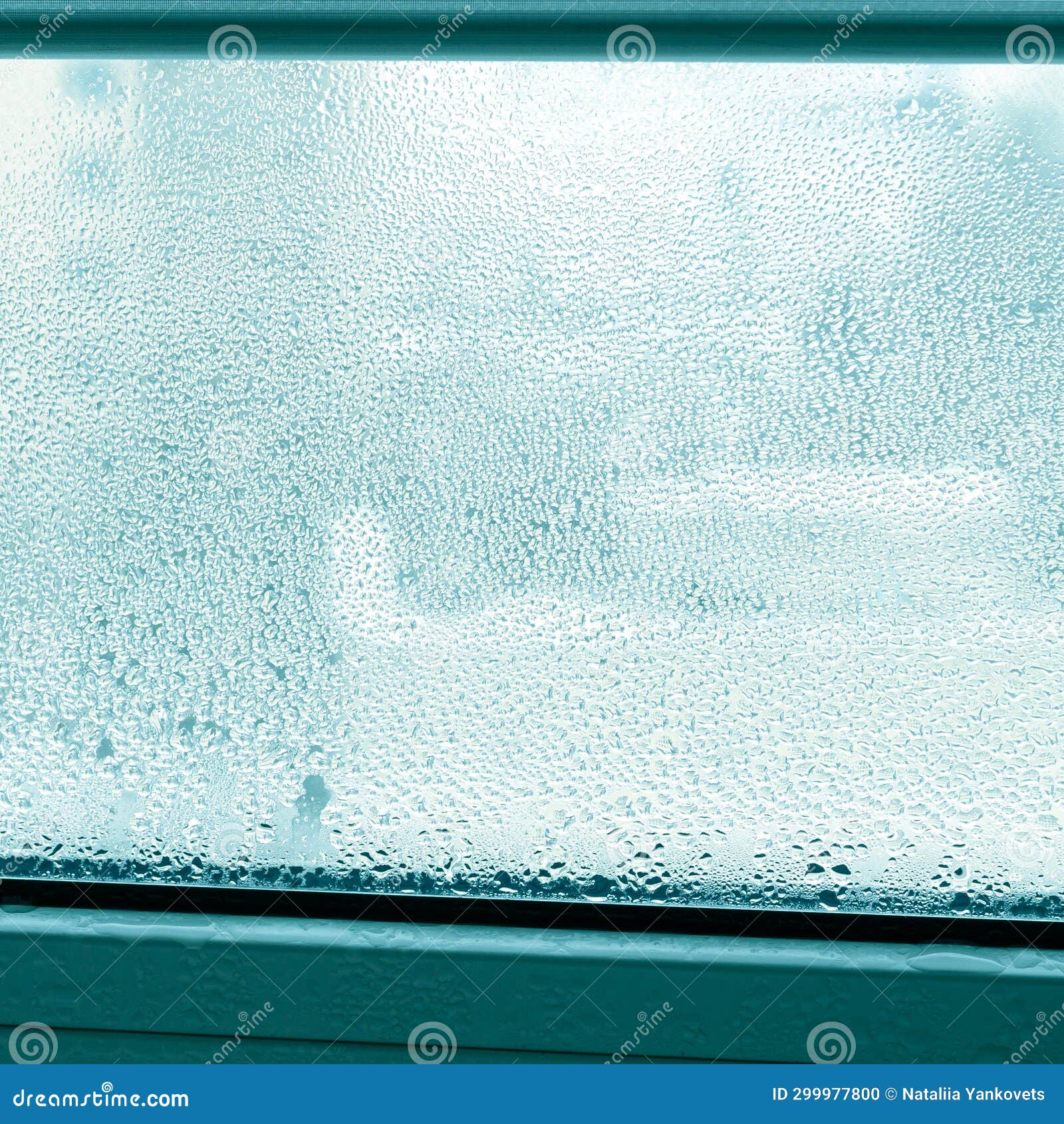 Drops of Condensation on a Metal-plastic Window. Greenhouse Effect ...