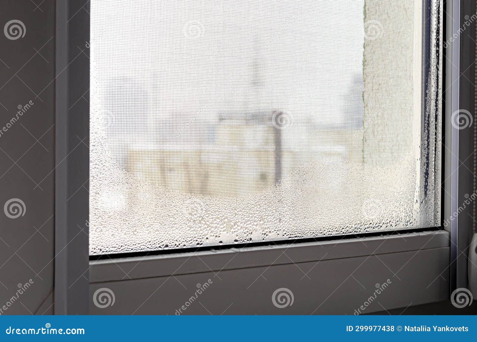 Drops of Condensation in Winter on the Window Stock Photo - Image of ...