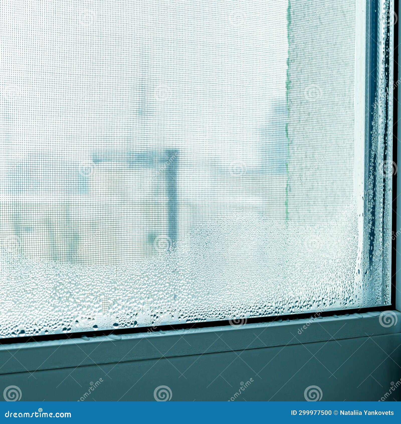 Drops of Condensation in Winter on the Window Stock Photo - Image of ...