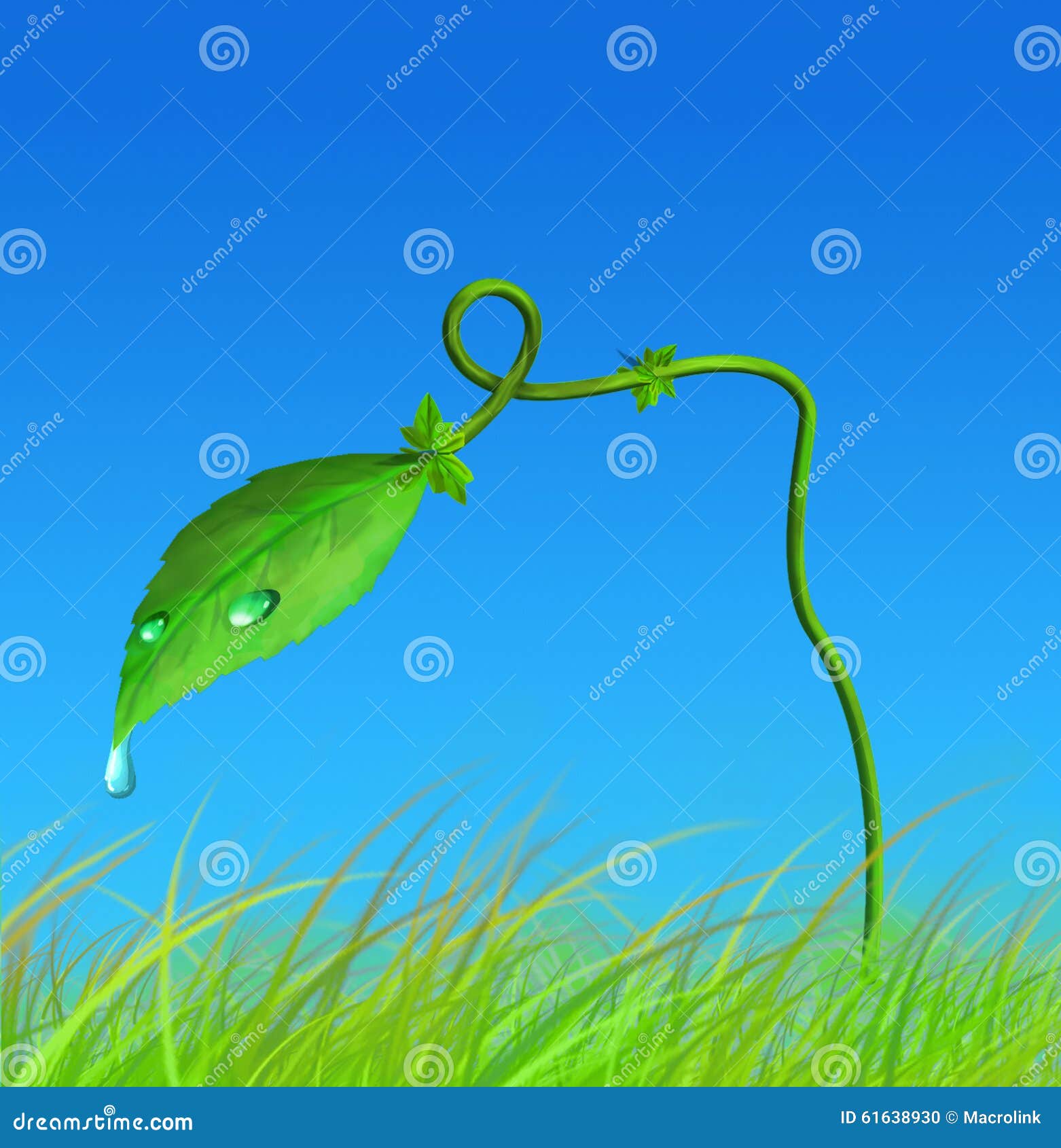 Drops of Dew on Plant stock illustration. Illustration of nature - 61638930