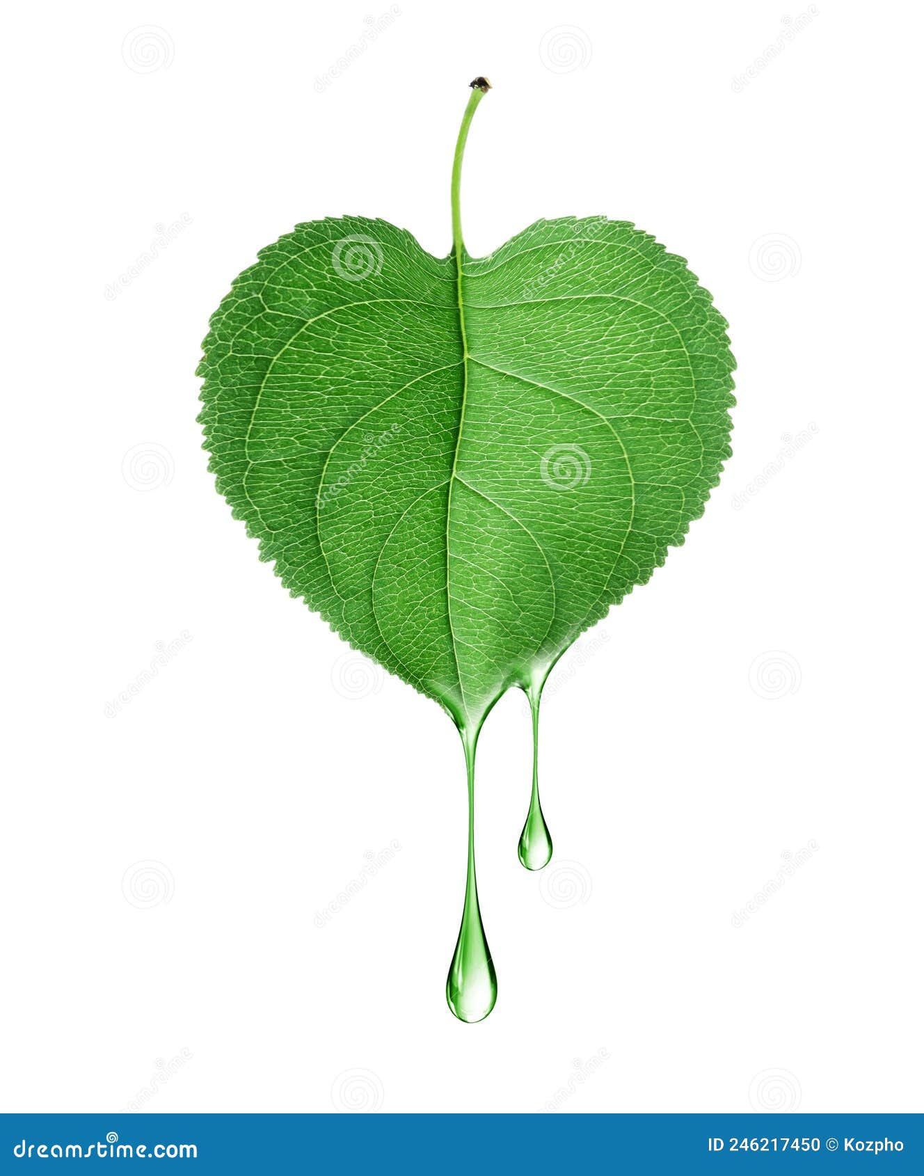 Drops are Dripping from Green Leaf in the Shape of a Heart Stock Photo ...