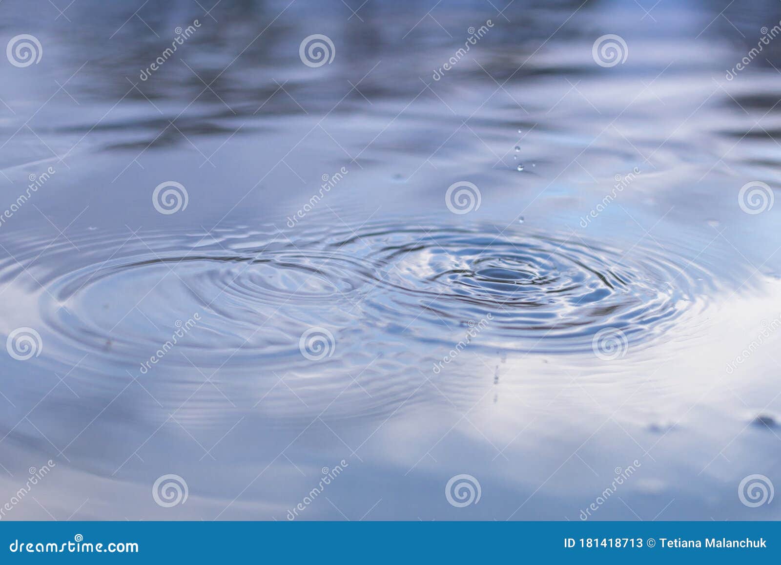 Drops fall into the water stock image. Image of morning - 181418713