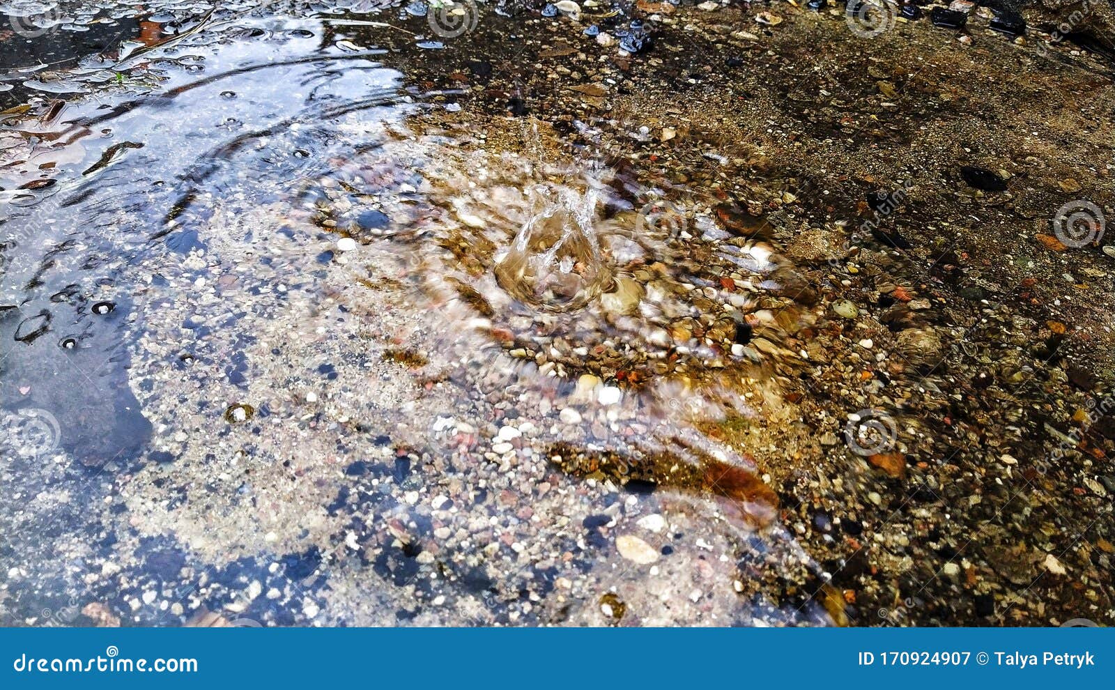 Drops falling in a puddle stock image. Image of puddle - 170924907