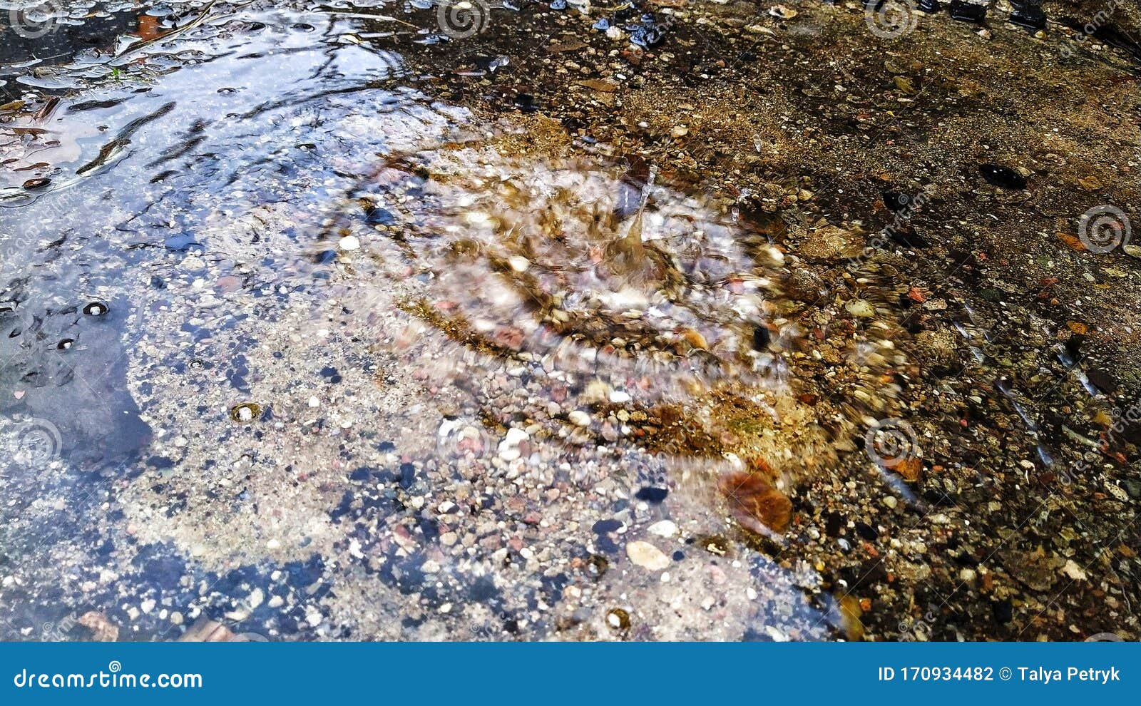 Drops falling in a puddle stock photo. Image of drops - 170934482